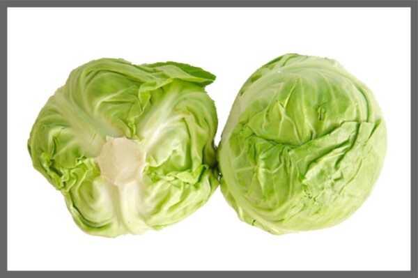 Vegetable & Fruit Wholesale Supplier in Malaysia | szVege